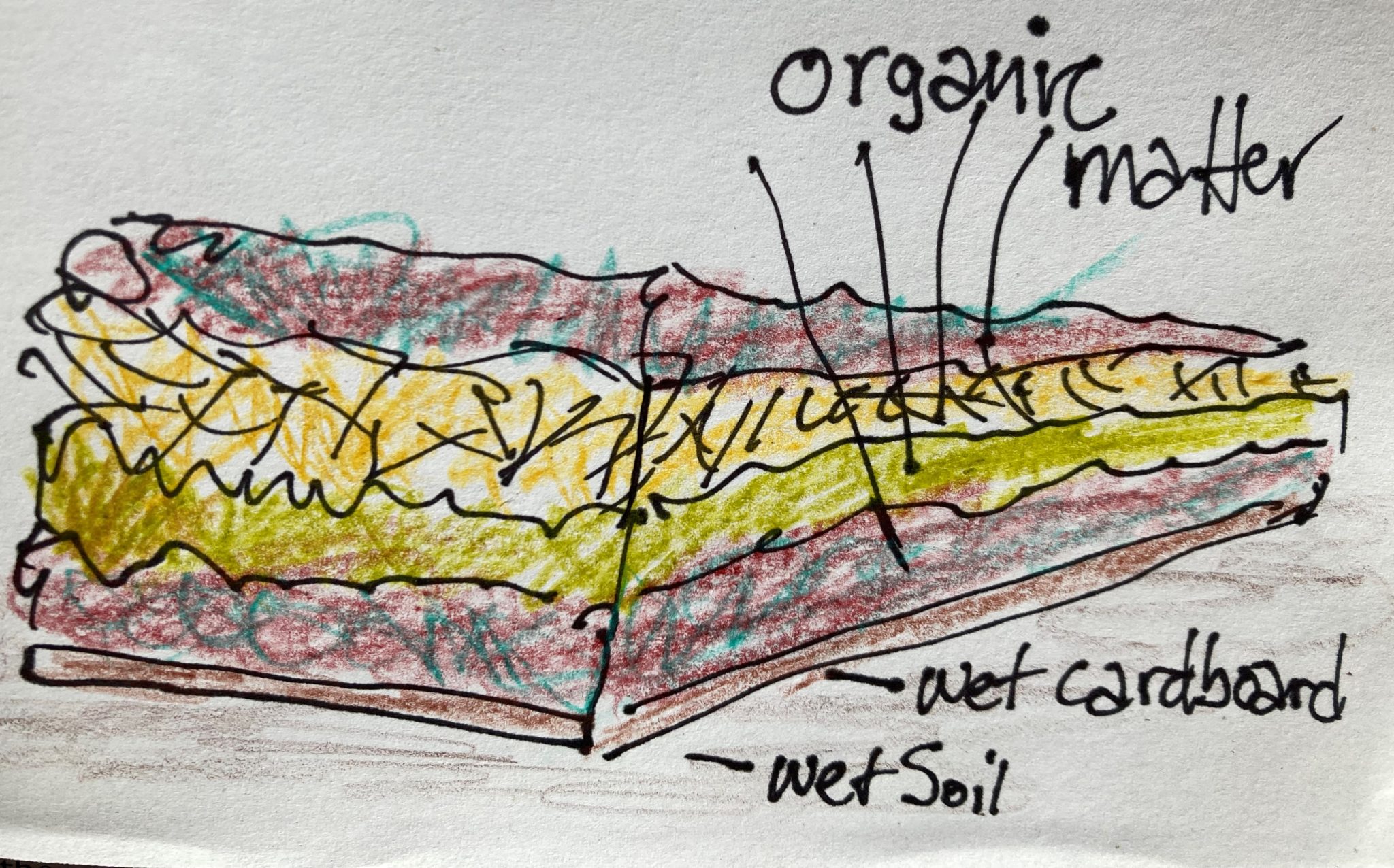 Improving your soil by sheet mulching – cornucopia